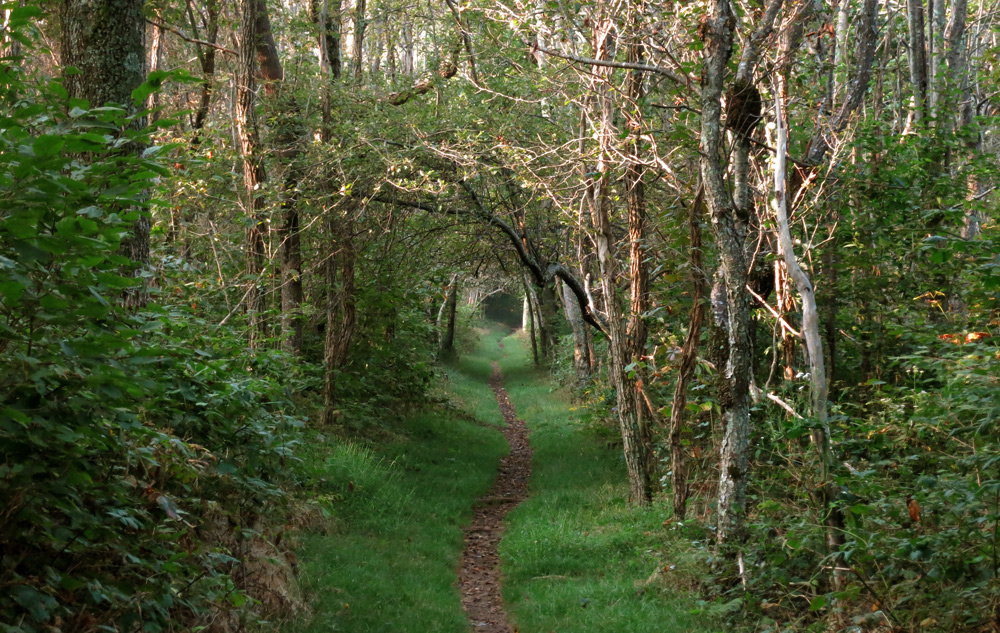 appalachian-trail-labyrinth-unspooled – ToffePlek